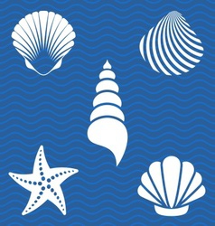 Sea shells Royalty Free Vector Image - VectorStock
