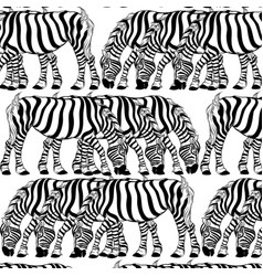 Zebra patchwork pattern Royalty Free Vector Image