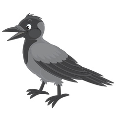 Crow Royalty Free Vector Image - VectorStock