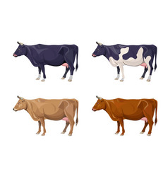 Calf cow Royalty Free Vector Image - VectorStock