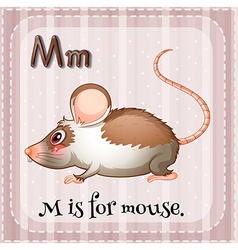 Flashcard letter m is for mitt Royalty Free Vector Image