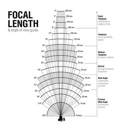 Focal length and angle view guide Royalty Free Vector Image