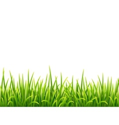 Green fluffy grass eco heart Royalty Free Vector Image
