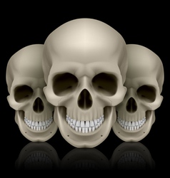 Three skulls Royalty Free Vector Image - VectorStock