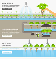 Modern green ecology design layout infographics 6 Vector Image