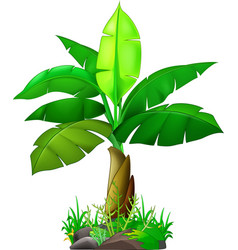 Cute horse cartoon posing Royalty Free Vector Image