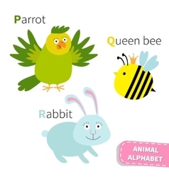 Letter P Q R Parrot Queen bee Rabbit Zoo alphabet Vector Image