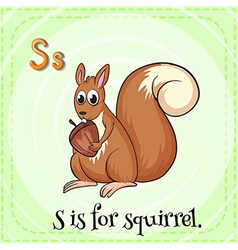 S is for squirrel letter squirrel cute animal Vector Image