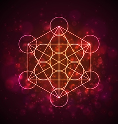 Metatrons Cube - Flower of Life Royalty Free Vector Image