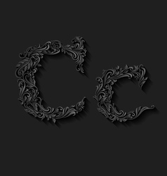 Decorated letter c Royalty Free Vector Image - VectorStock