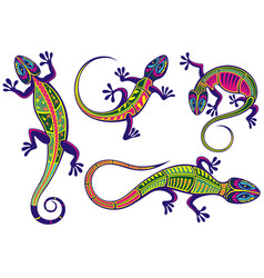 Iguana mexico Royalty Free Vector Image - VectorStock