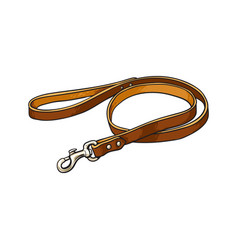 Simple pet cat dog brown leather leash Royalty Free Vector