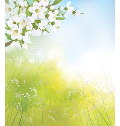 Spring nature background Royalty Free Vector Image