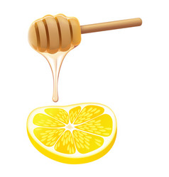 Hand draw lemon half of Royalty Free Vector Image
