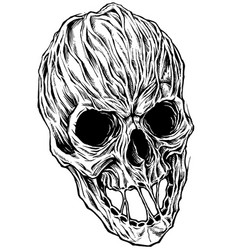 Skull drawing Royalty Free Vector Image - VectorStock