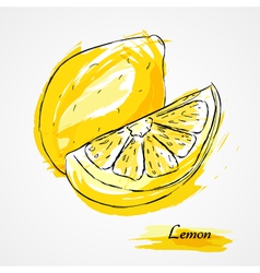 Lemon fruit Royalty Free Vector Image - VectorStock