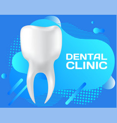 Human gum with healthy teeth and denture Vector Image