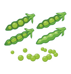 Watercolor handmade peas Royalty Free Vector Image
