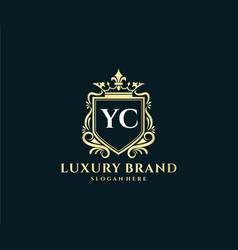 Initial yc letters beautiful floral feminine Vector Image