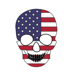 Skull flag Royalty Free Vector Image - VectorStock