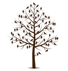 Birds Royalty Free Vector Image - VectorStock