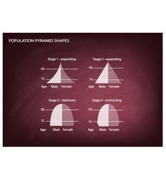 Four Types of Population Pyramids Royalty Free Vector Image