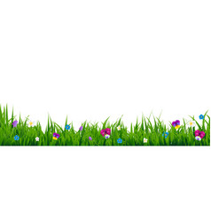 Spring grass seamless border with flowers Vector Image