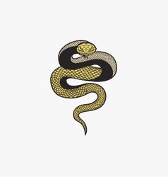 Snake python mascot logo design Royalty Free Vector Image