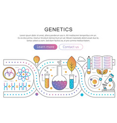 Colorful dna spirals bright Royalty Free Vector Image