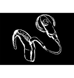 Cochlear implant diagram medical science Vector Image