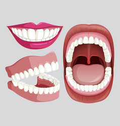 Mouth and tooth health set Royalty Free Vector Image
