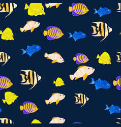 Coral reef fish Royalty Free Vector Image - VectorStock