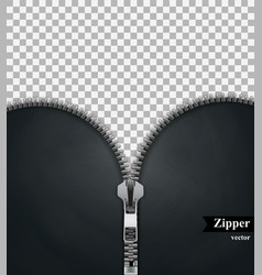 Clothing fasteners metal zippers isolated Vector Image