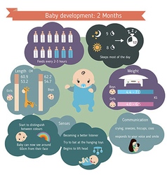 Child development infographics Royalty Free Vector Image
