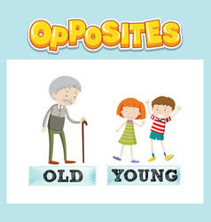 Opposite adjectives with old and young Royalty Free Vector