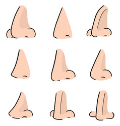 Set nose Royalty Free Vector Image - VectorStock
