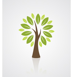 Green crooked tree bonsai miniature traditional Vector Image