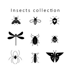 Large set different insects on white background Vector Image
