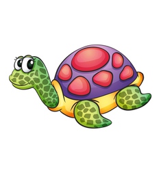 Turtle Royalty Free Vector Image - VectorStock