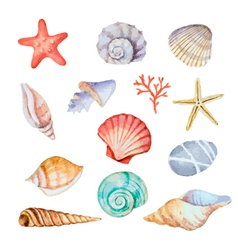 Watercolor set seashells Royalty Free Vector Image