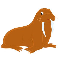 Walrus Royalty Free Vector Image - VectorStock