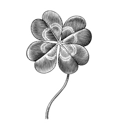 Skull Royalty Free Vector Image - VectorStock