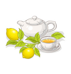 Lemon tea Royalty Free Vector Image - VectorStock