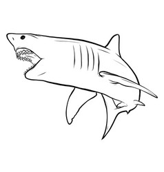 Shark with open mouth in the sea flat Royalty Free Vector