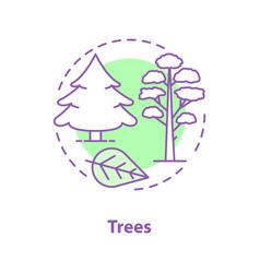 Spruce forest logo Royalty Free Vector Image - VectorStock