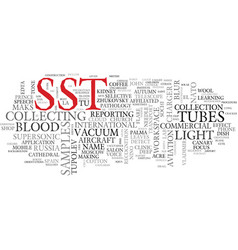 Sst word cloud concept Royalty Free Vector Image