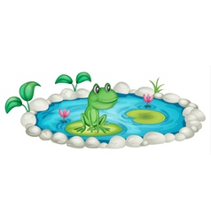 Frog count number at pond Royalty Free Vector Image