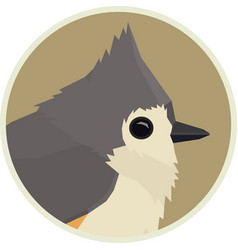 Tufted titmouse bird Royalty Free Vector Image