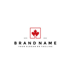 Design elements Royalty Free Vector Image - VectorStock