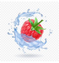 Raspberry in berry juice splash Royalty Free Vector Image